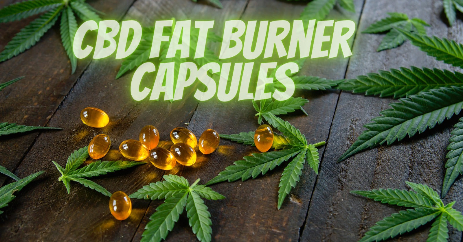 CBD Fat Burner Capsules: A Comprehensive Guide | Go Green CBD – GoGreen-CBD